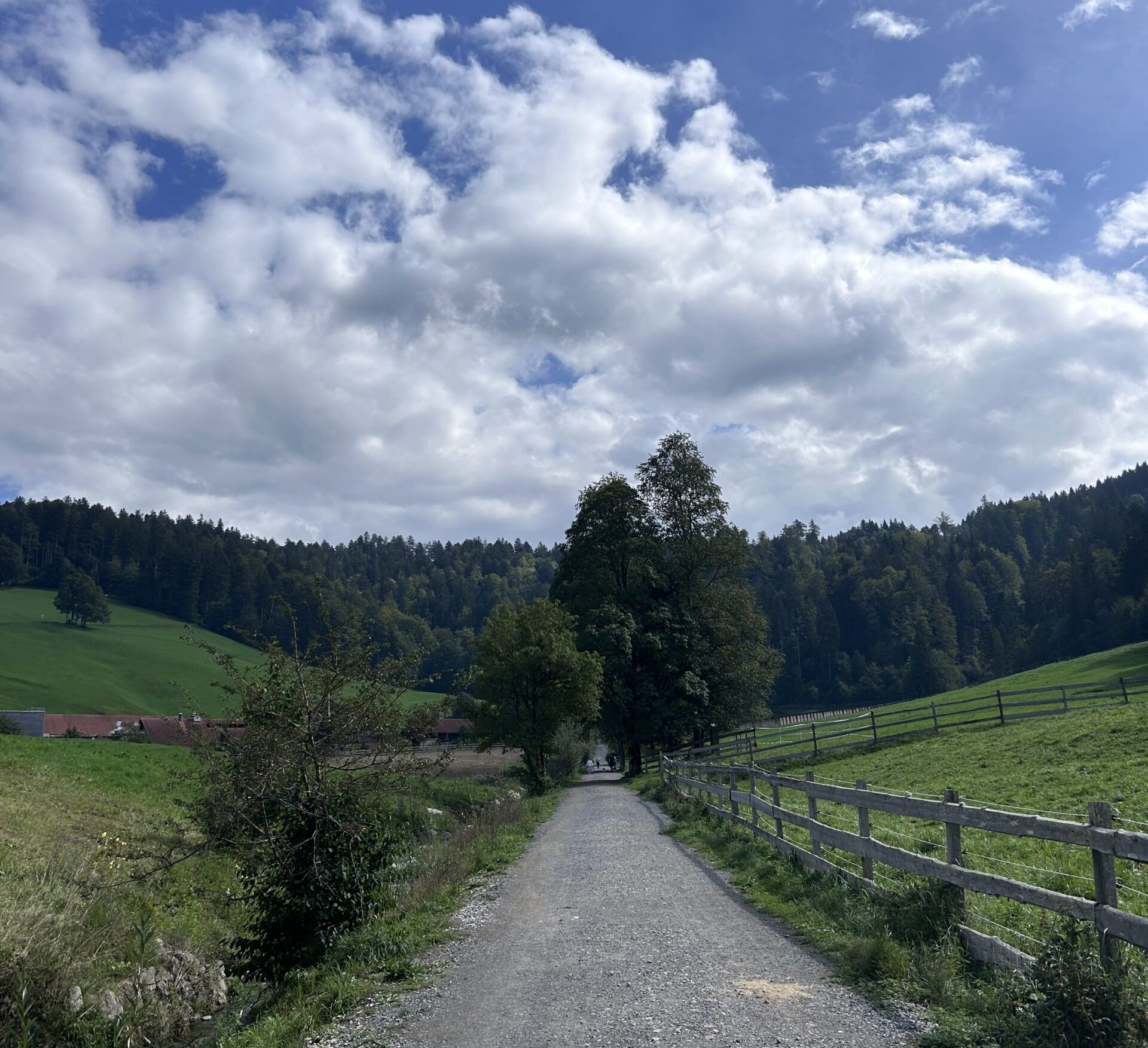 Como iremos? - Ponto SJ